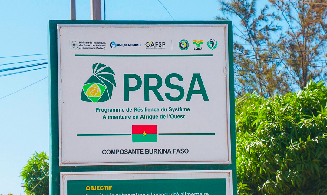 PRSA – Programme de Résilience du Système Alimentaire en Afrique de l’Ouest